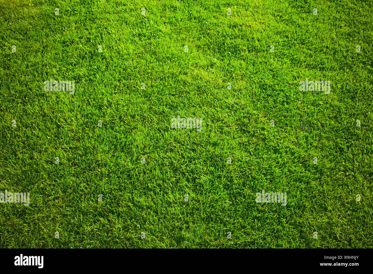 grass on backyard lawn - house, home and gardening concept, elegant ...
