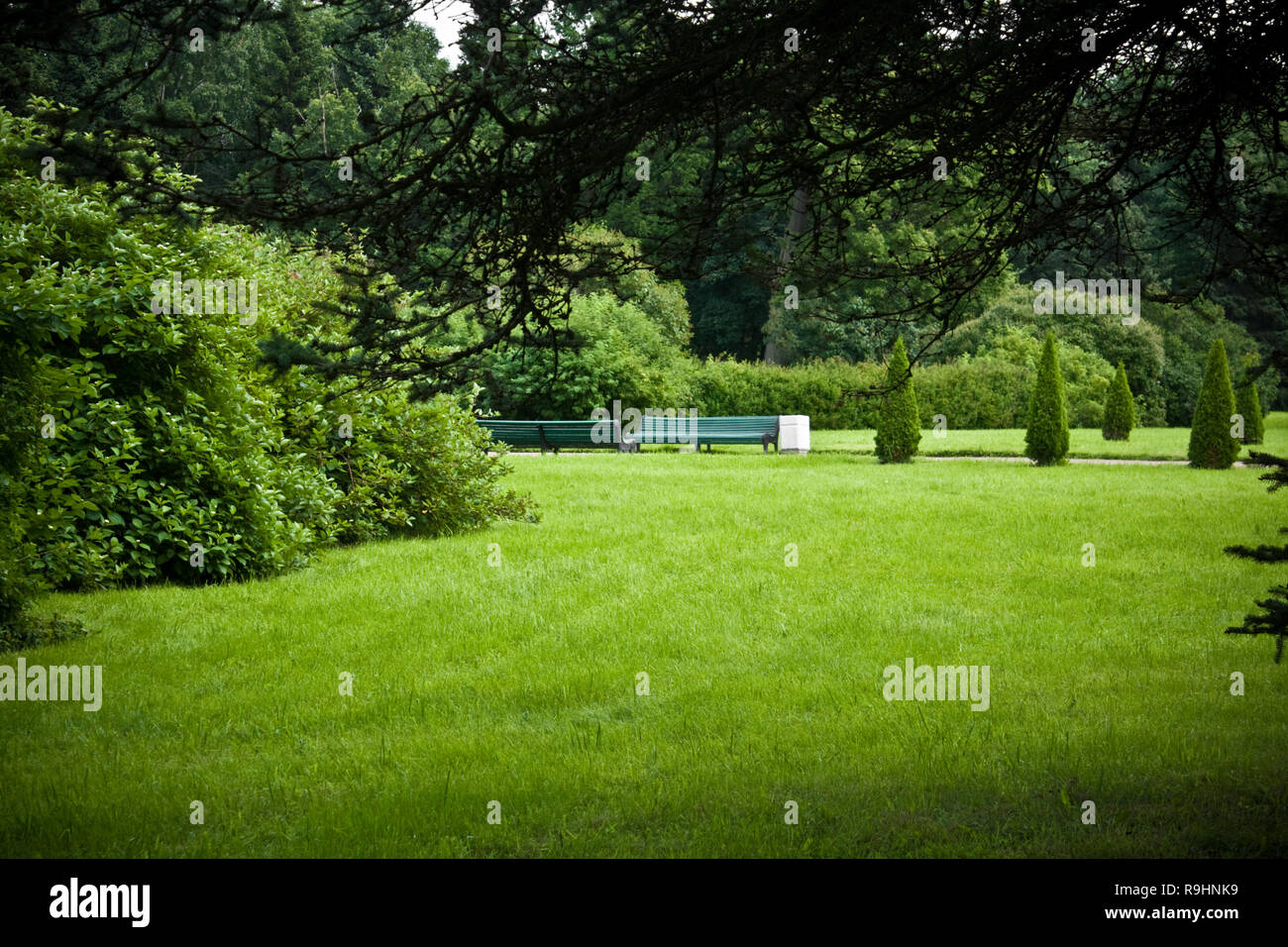 spring landscape scenery - beauty in nature, landscapes and environment ...