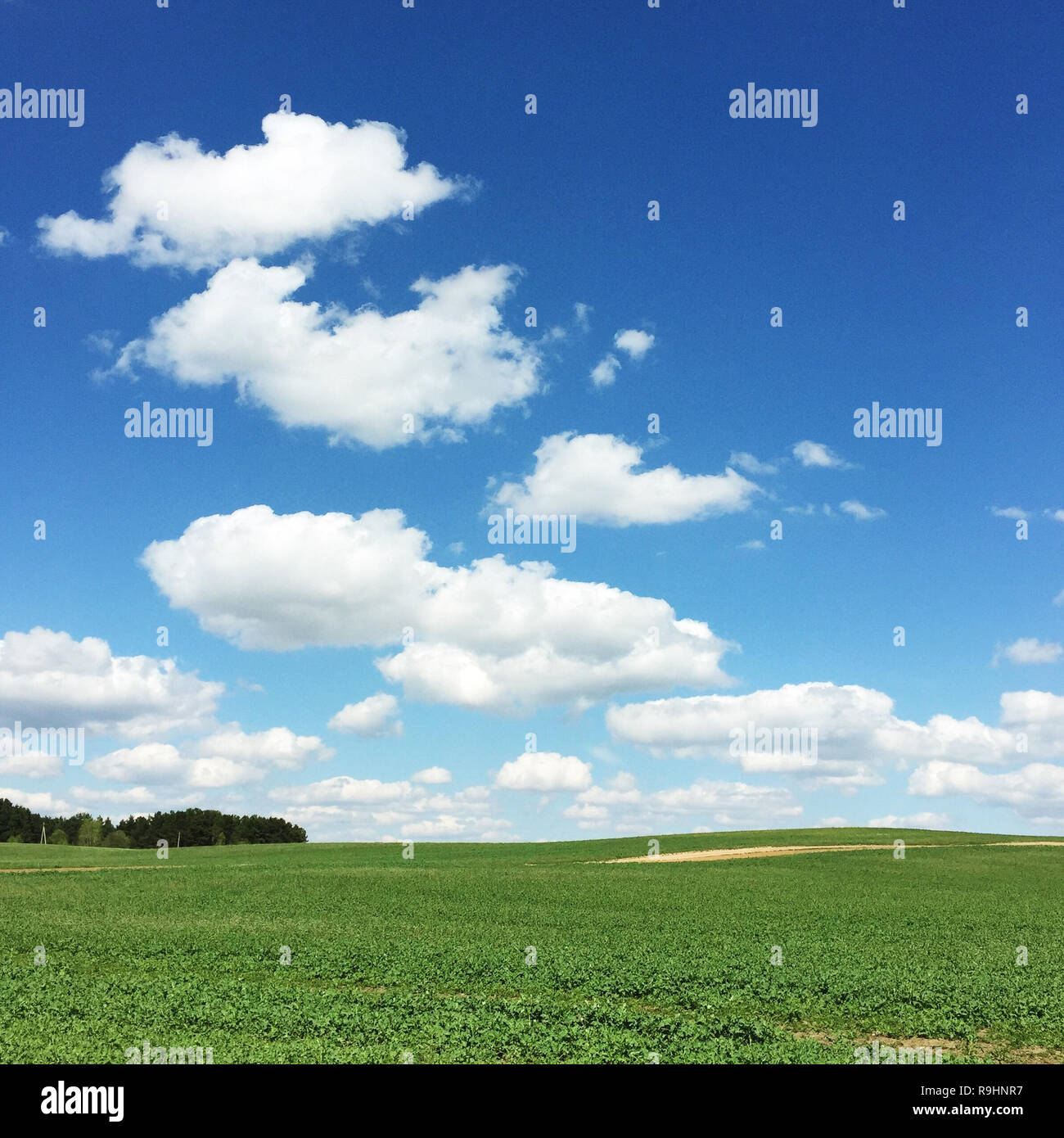 spring landscape scenery - beauty in nature, landscapes and environment ...