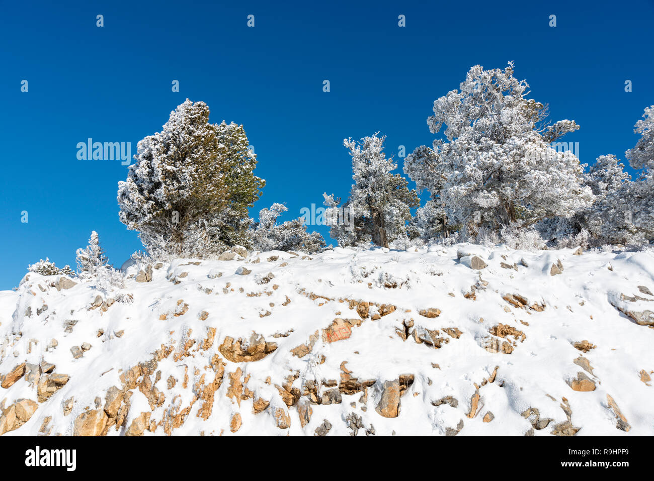 The Denizli ski center in Tavas district Nikfer prefecture,Turkey Stock ...