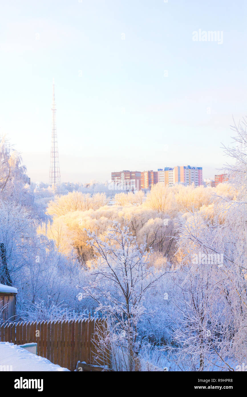 Apartment buildings in the city in the winter and snow covered trees ...
