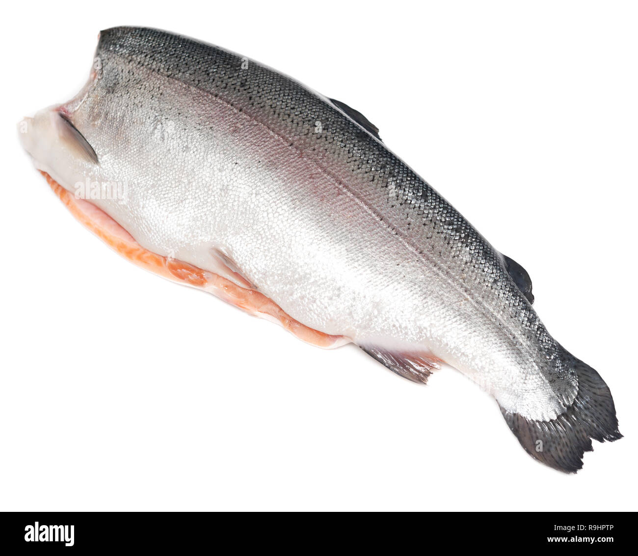 Fresh salmon without head isolated on white background Stock Photo - Alamy