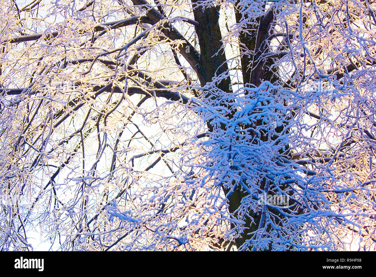 Snow covered clear outdoor rays hi-res stock photography and images - Alamy