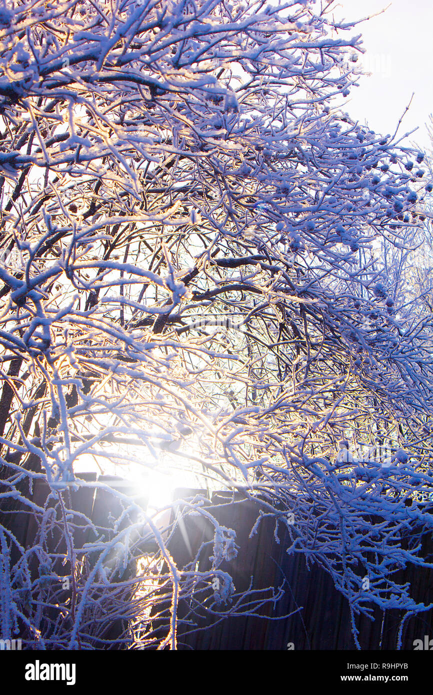 Snow covered clear outdoor rays hi-res stock photography and images - Alamy