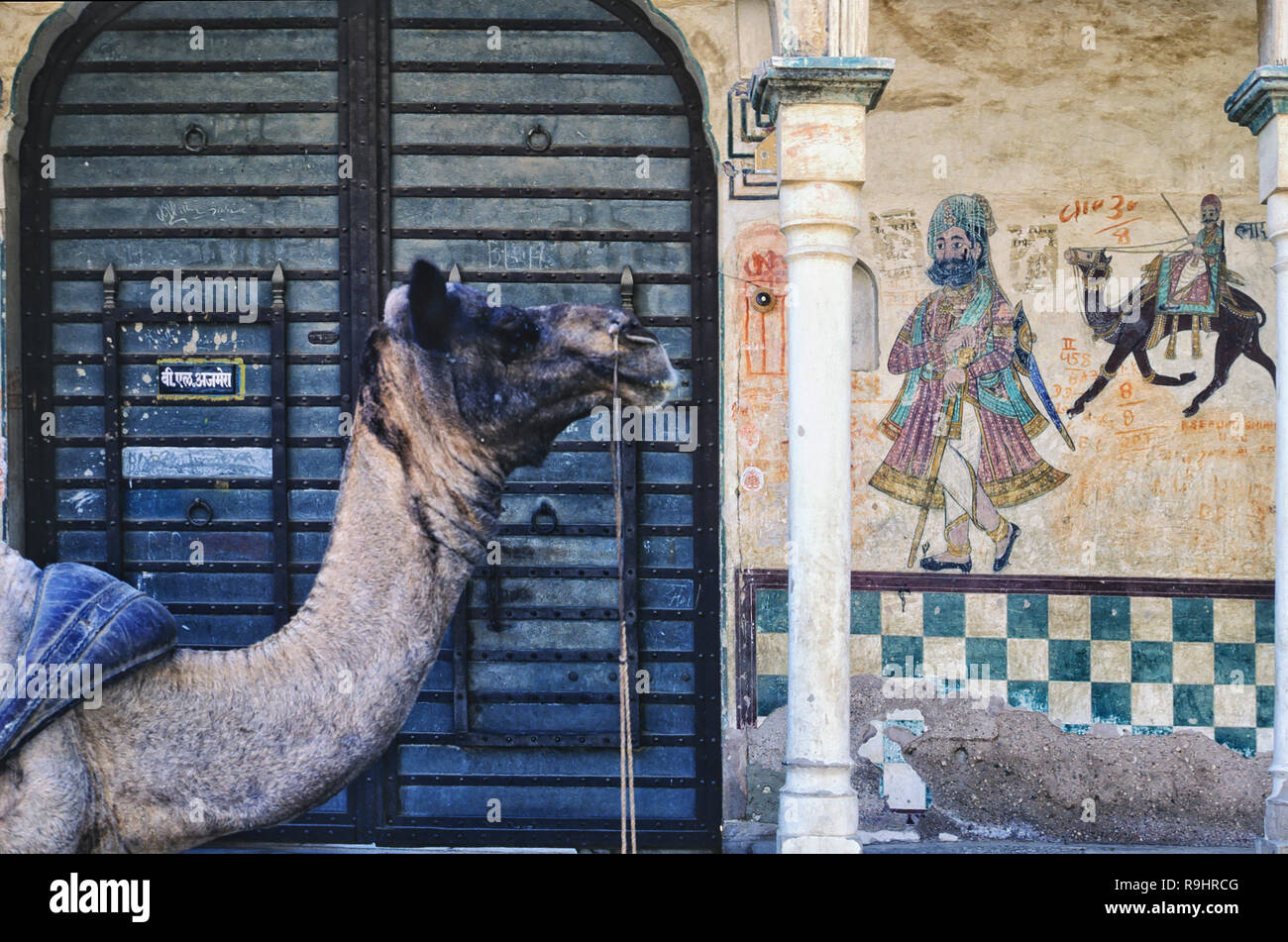 Churu rajasthan hi-res stock photography and images - Alamy