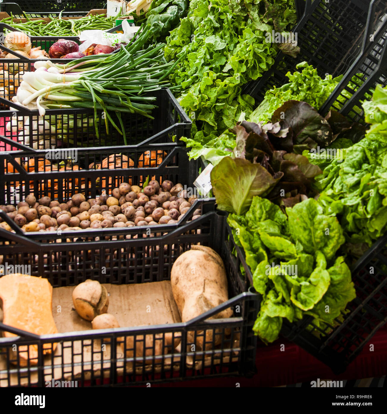 Lanzarote food shop hi-res stock photography and images - Alamy