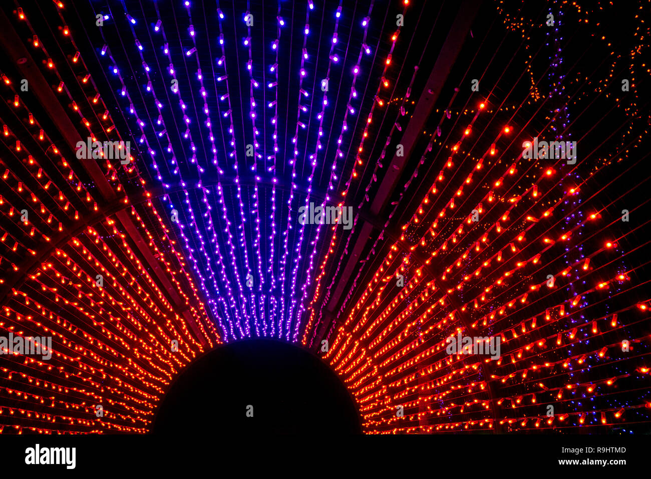 Calgary zoo lights hi-res stock photography and images - Alamy