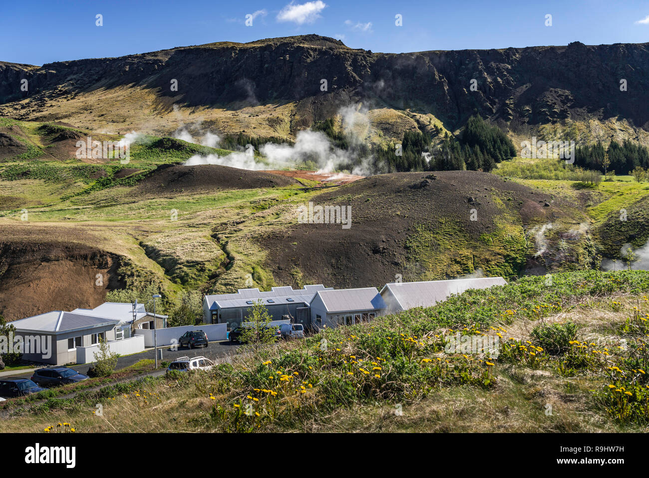 Steam vents in a geothermal area near Selfoss, southern Iceland, Europe ...
