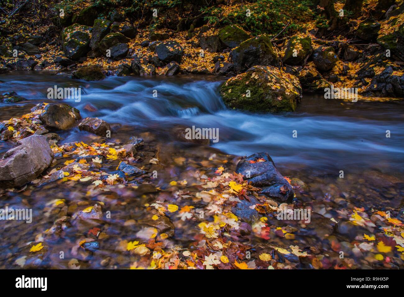 Water flowing stream red mountains hi-res stock photography and images ...