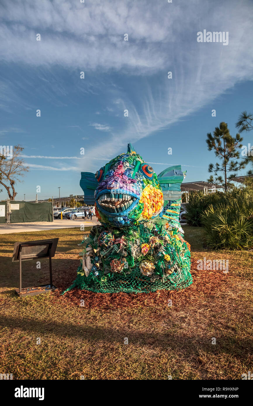 Priscilla the parrot fish hi-res stock photography and images - Alamy