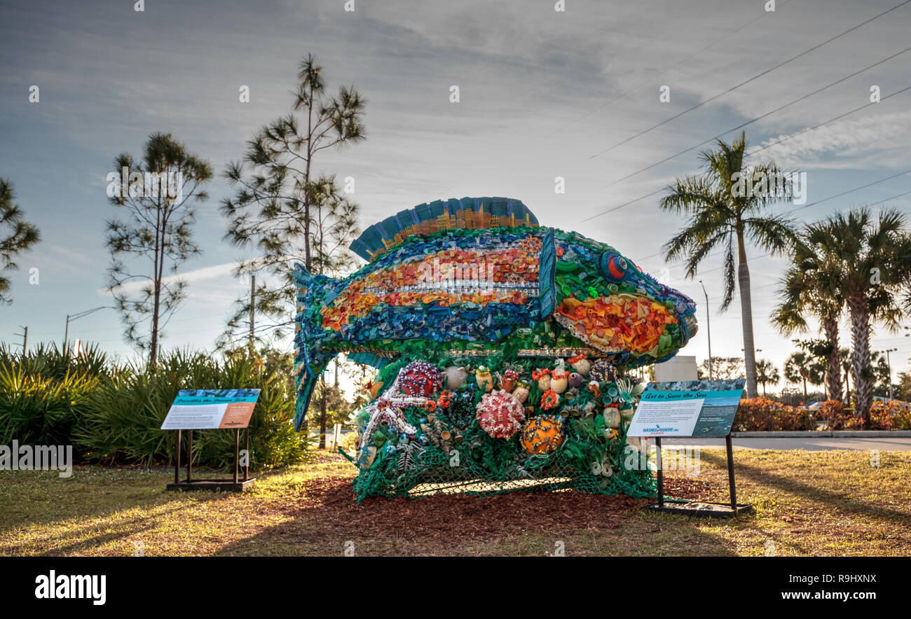 Naples, Florida, USA – December 23, 2018: Priscilla the Parrot fish ...