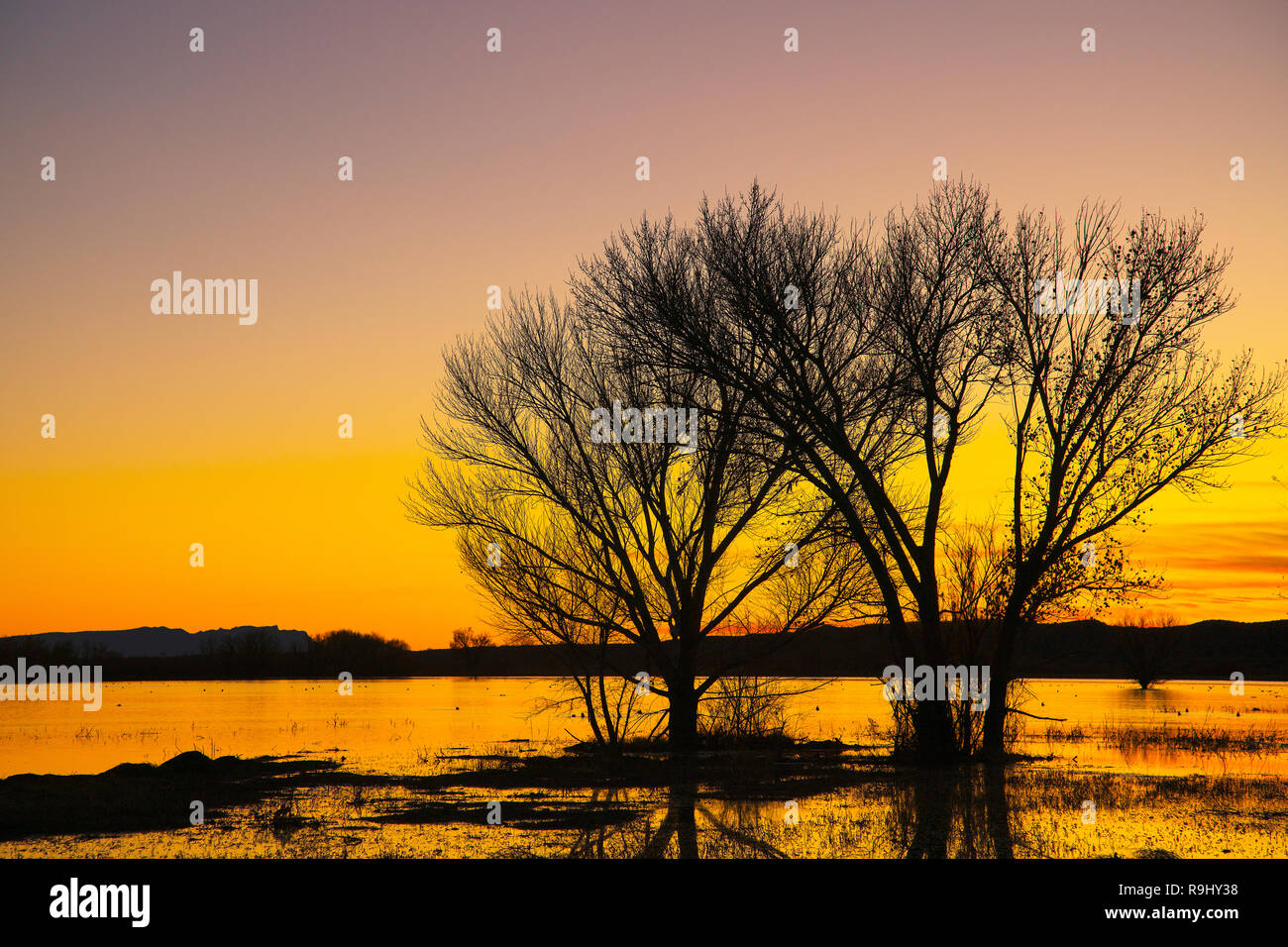 Sunset near the flight deck in Bosque del Apache National Wildlife ...