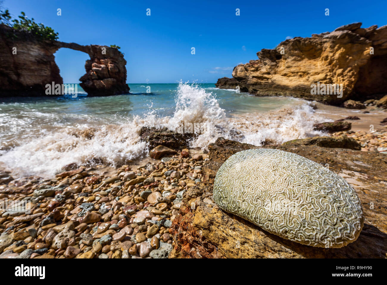 Puente de Piedra Cabo Rojo Puerto Rico secret attraction Stock Photo ...