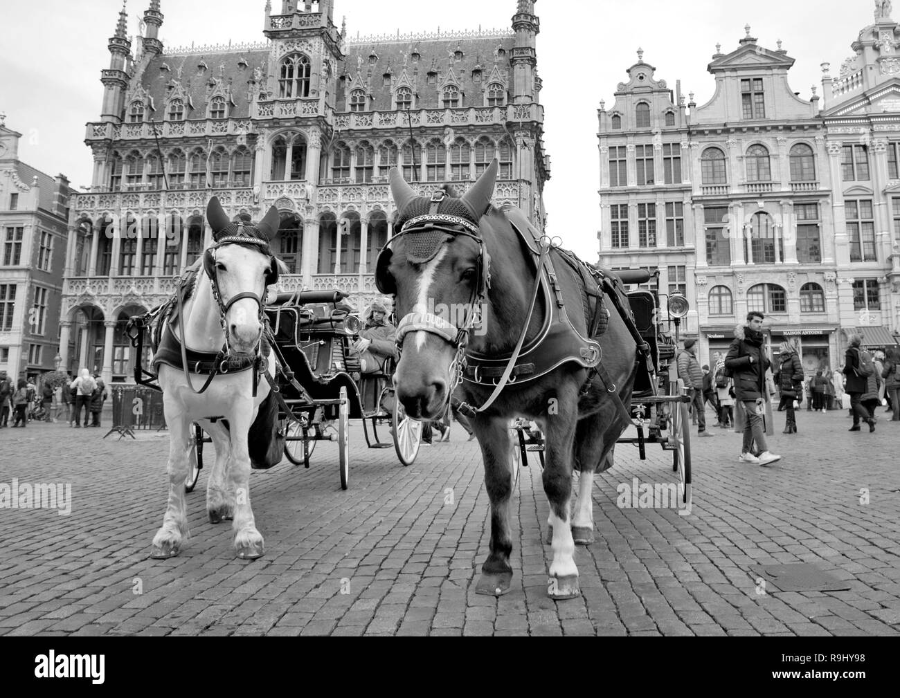 Grand Place, Brussels Stock Photo - Alamy