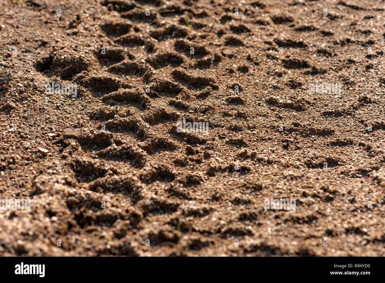 Car tread track background Stock Photo - Alamy