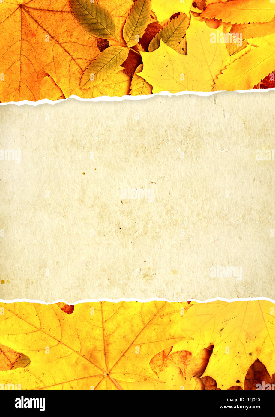 Grunge background with autumn leaves Stock Photo - Alamy
