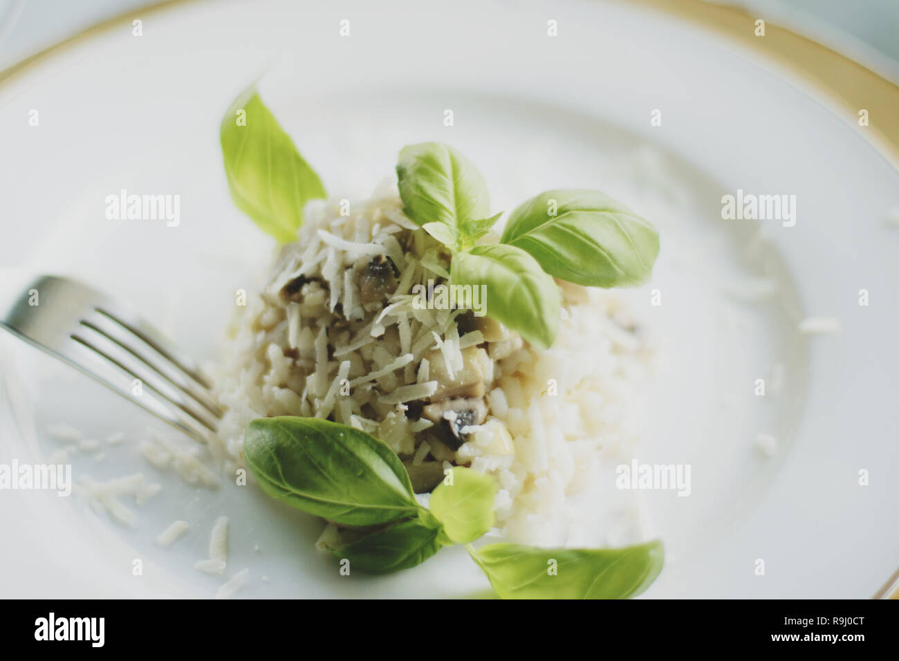 european and mediterranean cuisine styled concept - mushroom risotto ...