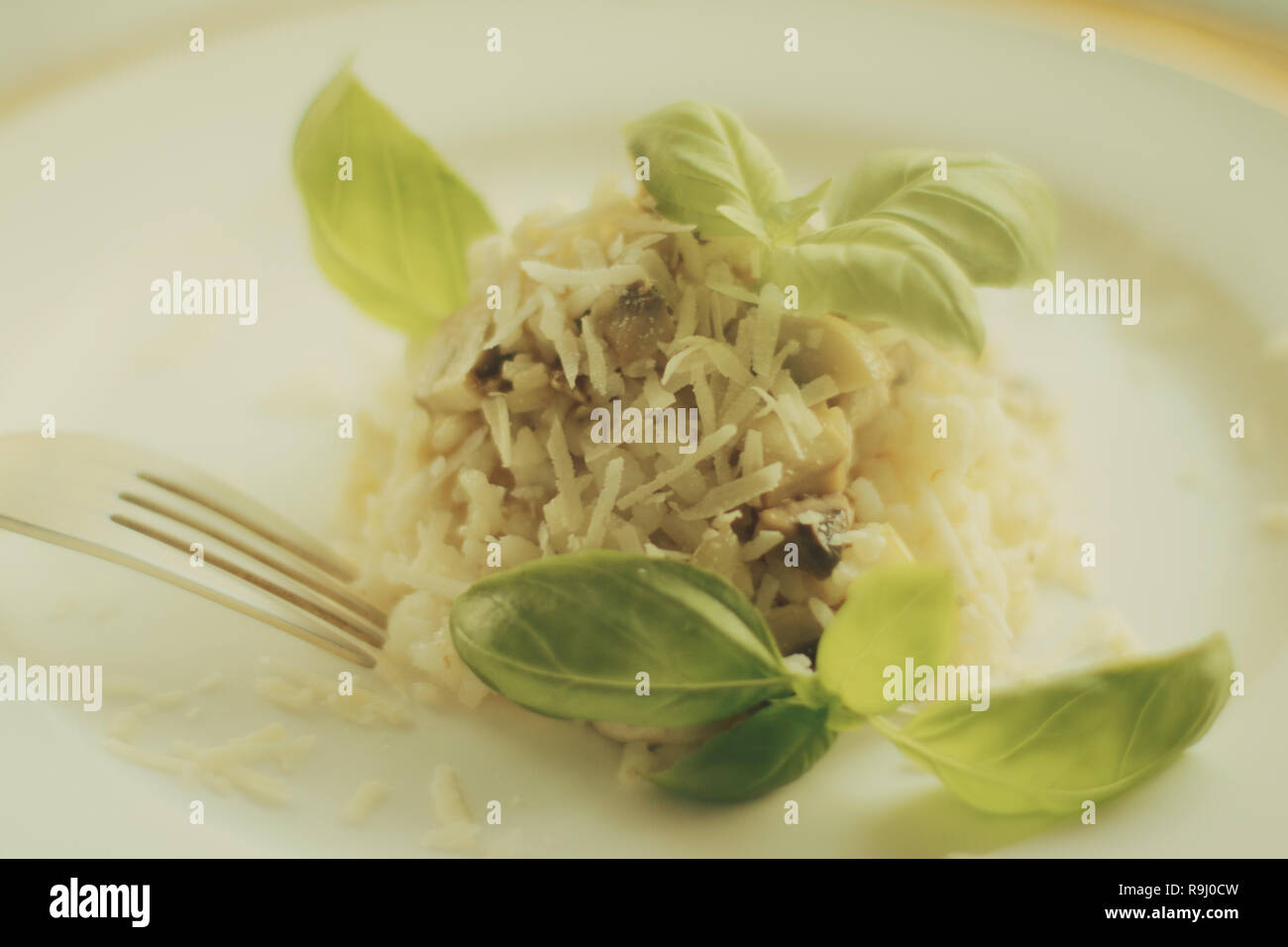 european and mediterranean cuisine styled concept - mushroom risotto ...