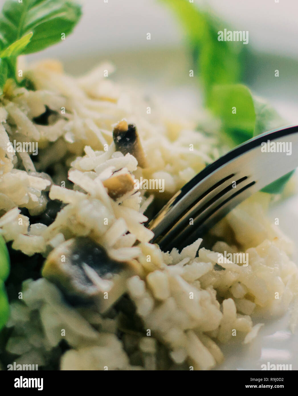 european and mediterranean cuisine styled concept - mushroom risotto ...