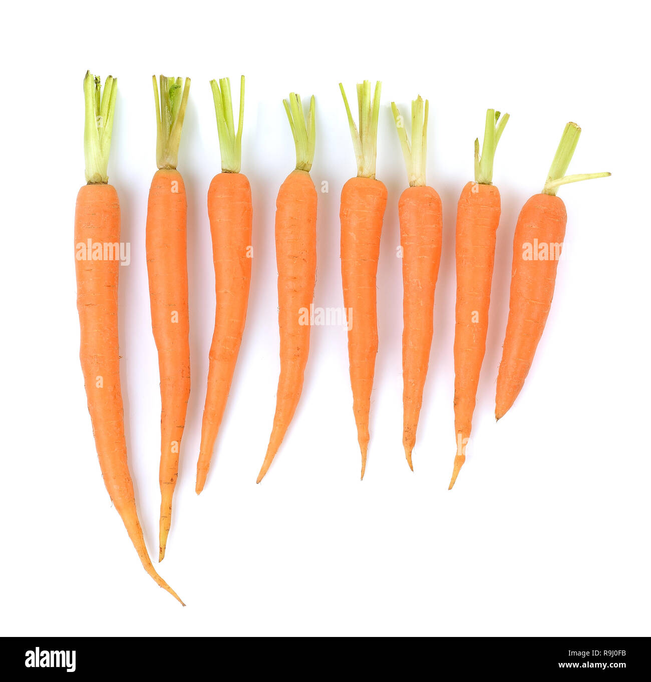 Carrot isolated on white background Stock Photo - Alamy
