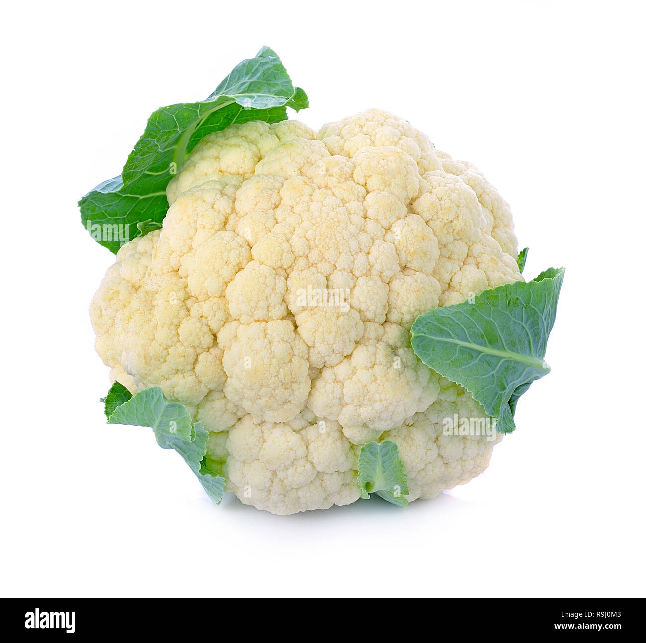 Cauliflower isolated on white background Stock Photo - Alamy