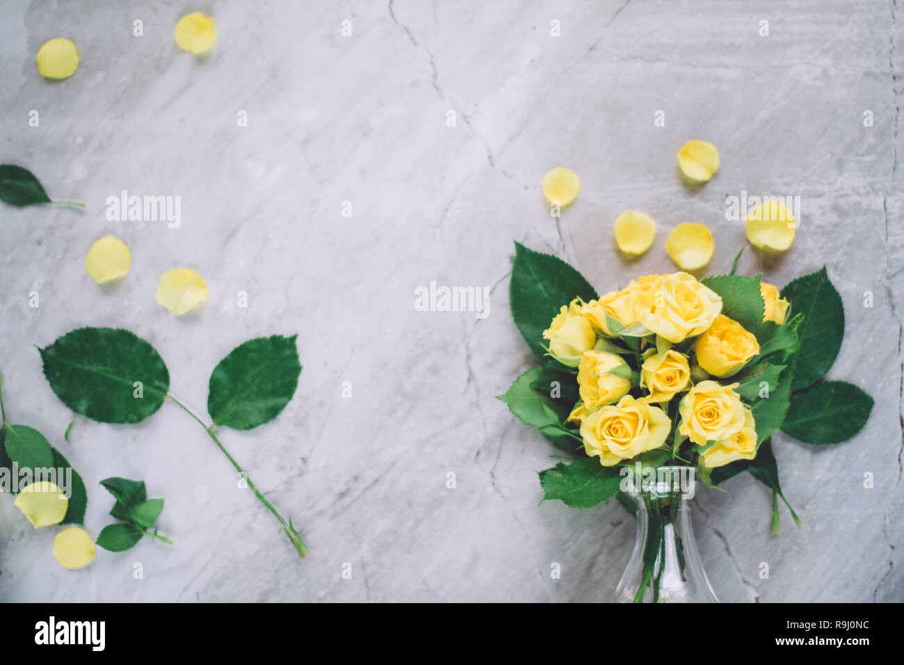 yellow roses - wedding, holiday and floral garden styled concept ...