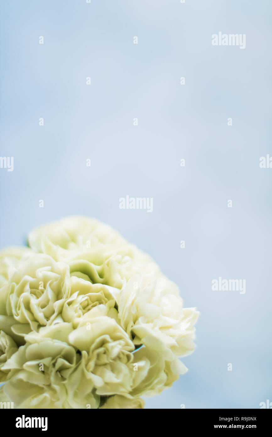 rose bouquet decor - wedding, holiday and floral garden styled concept ...