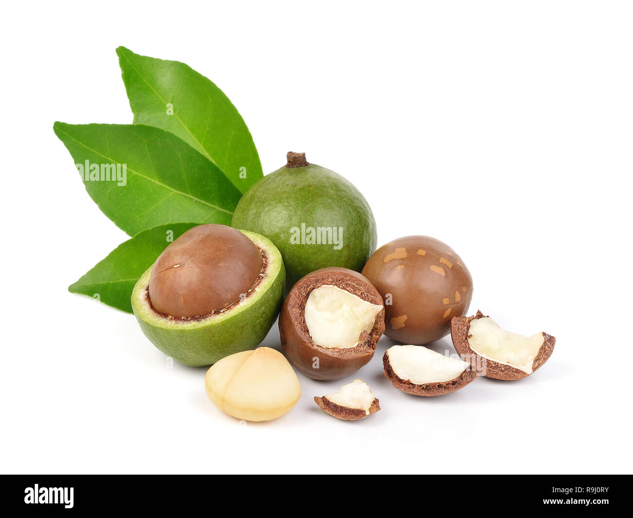 macadamia nuts on white background Stock Photo - Alamy