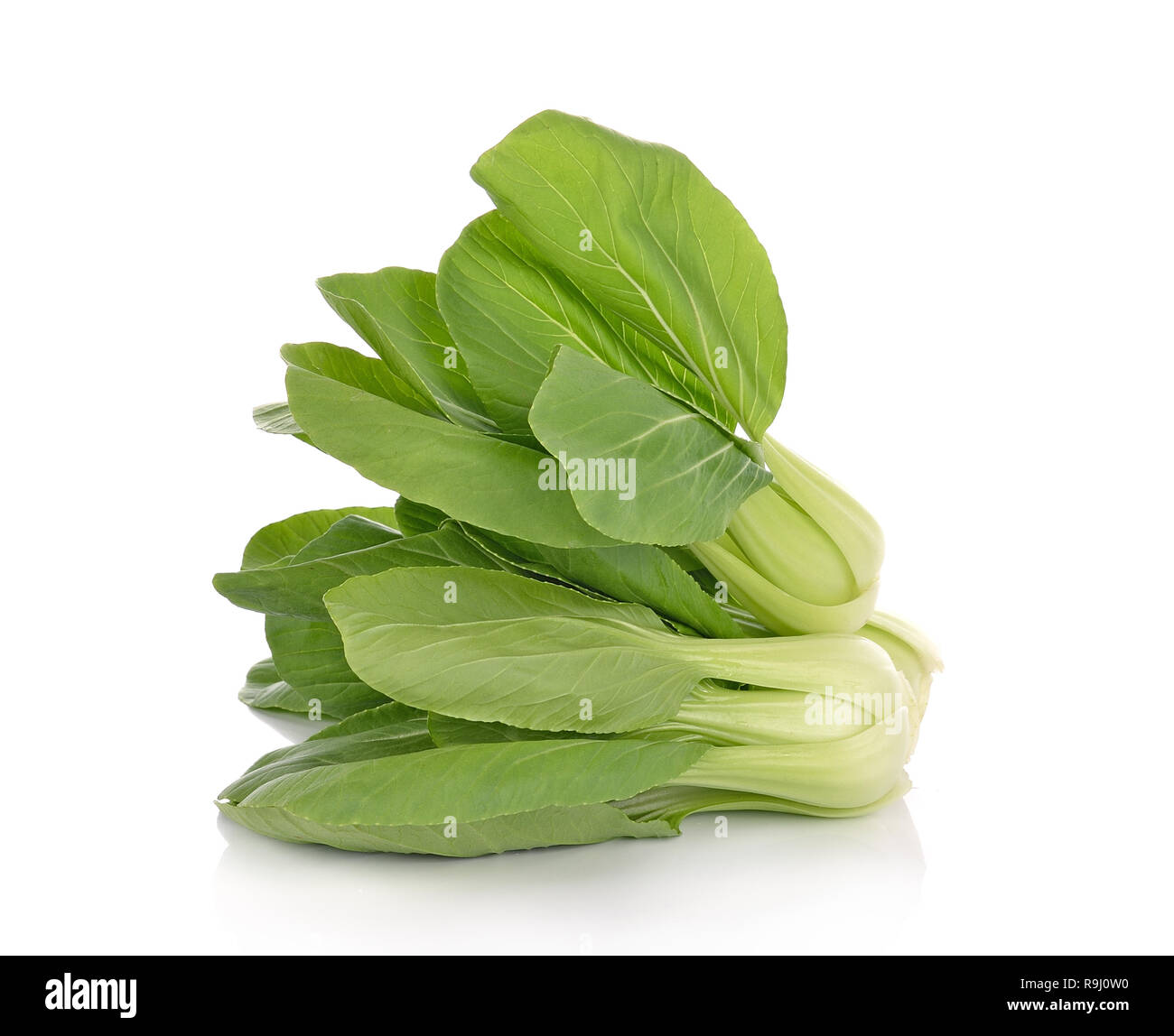 Bok choy (chinese cabbage) isolated on white Stock Photo - Alamy