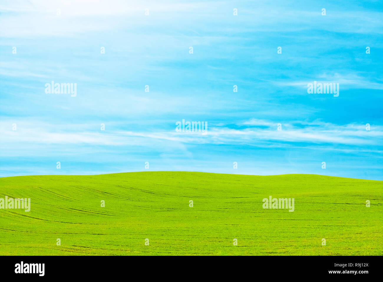 spring landscape scenery - beauty in nature, landscapes and environment ...