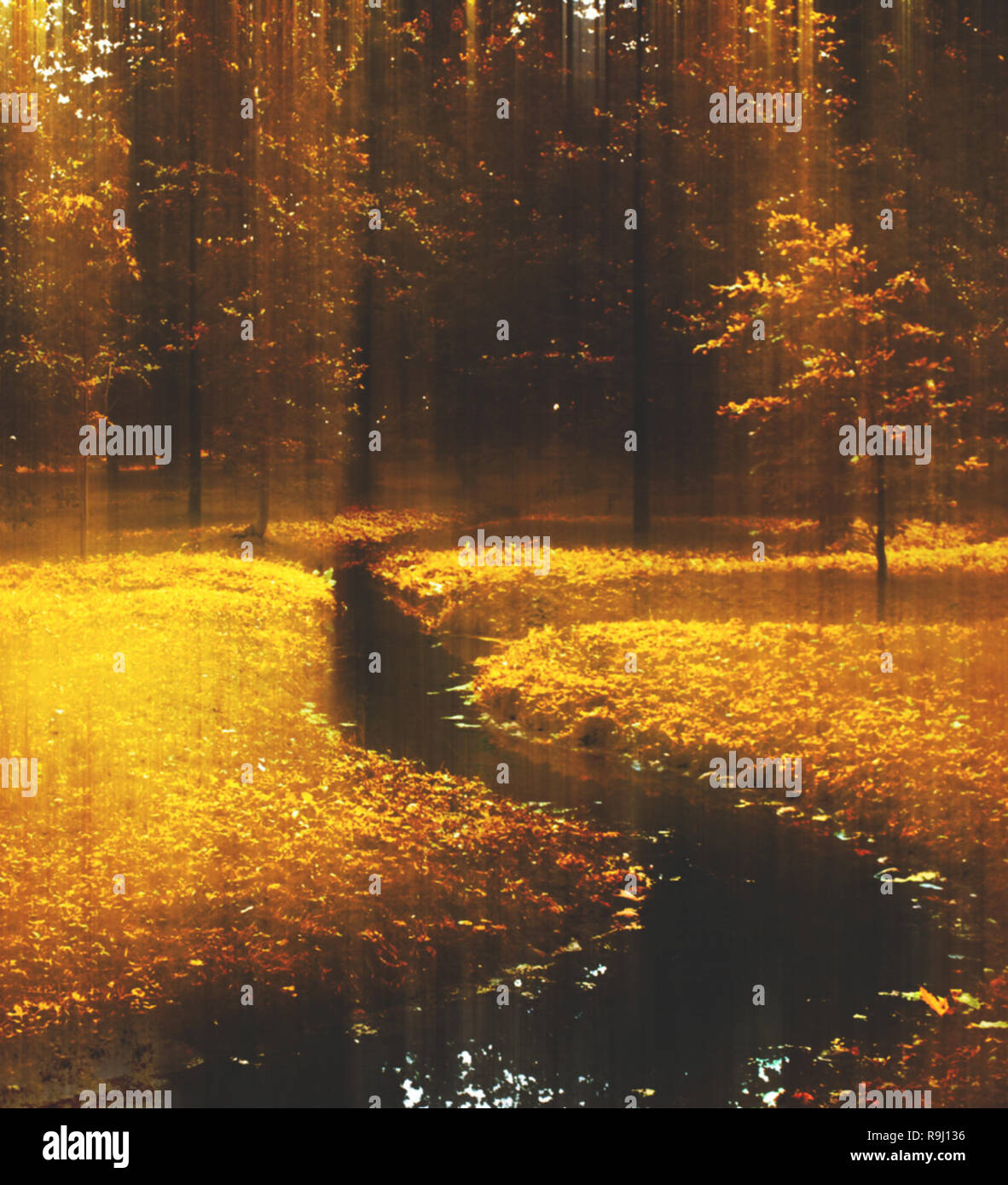 fall scenery, beauty of autumn - nature and environment concept ...