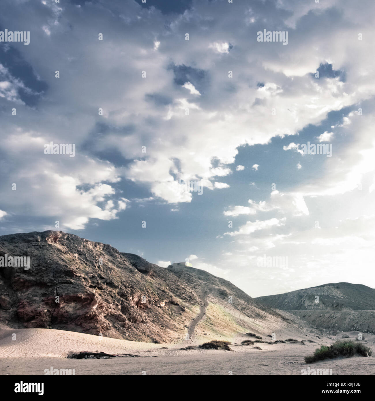 wild desert - beauty in nature, landscapes and environment concept ...