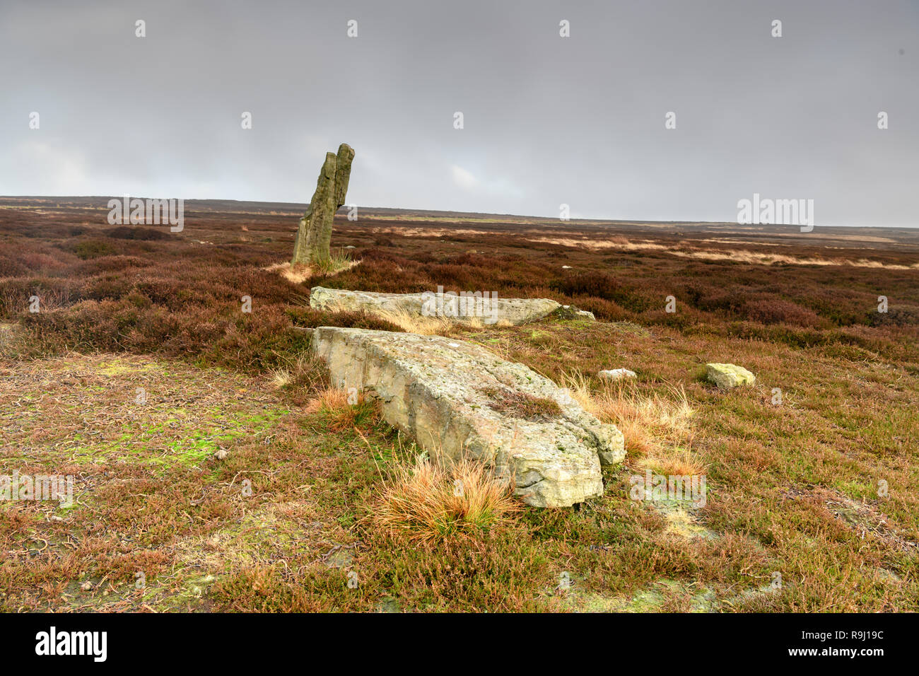 North Yorkshire Heather Rock High Resolution Stock Photography and ...