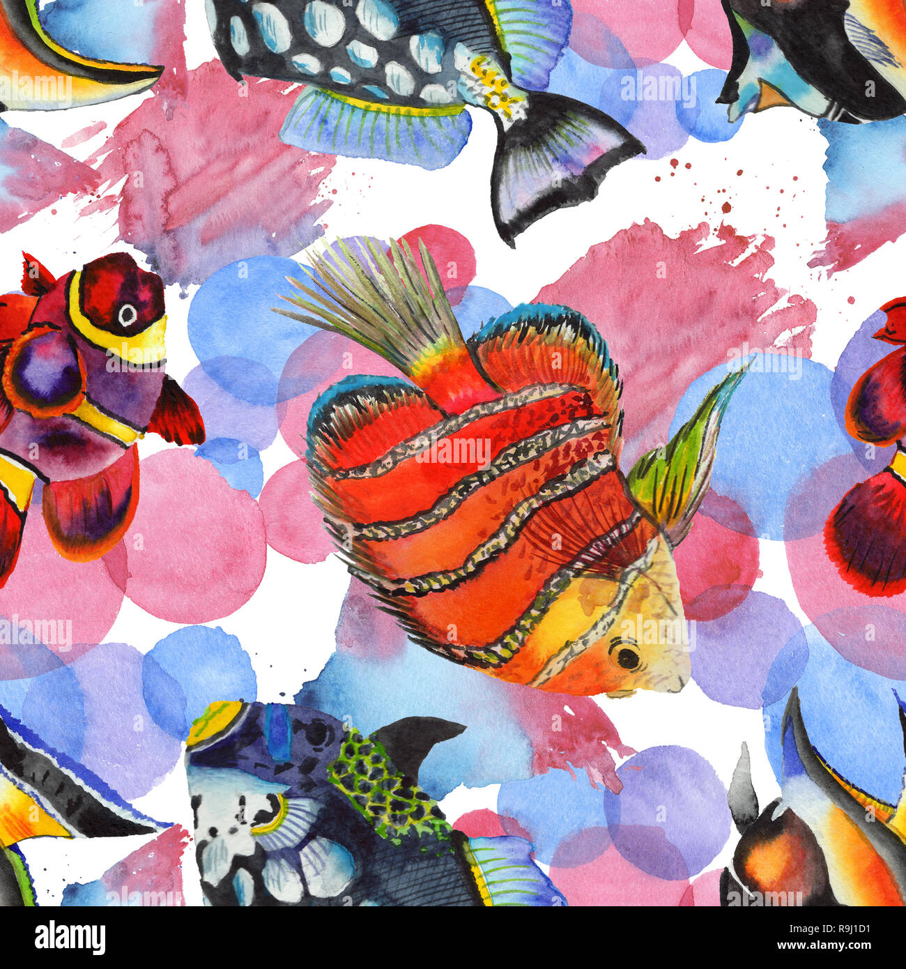 Watercolor aquatic underwater colorful tropical fish illustration set ...