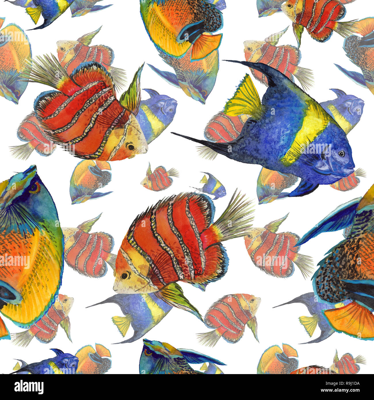 Watercolor aquatic underwater colorful tropical fish illustration set ...