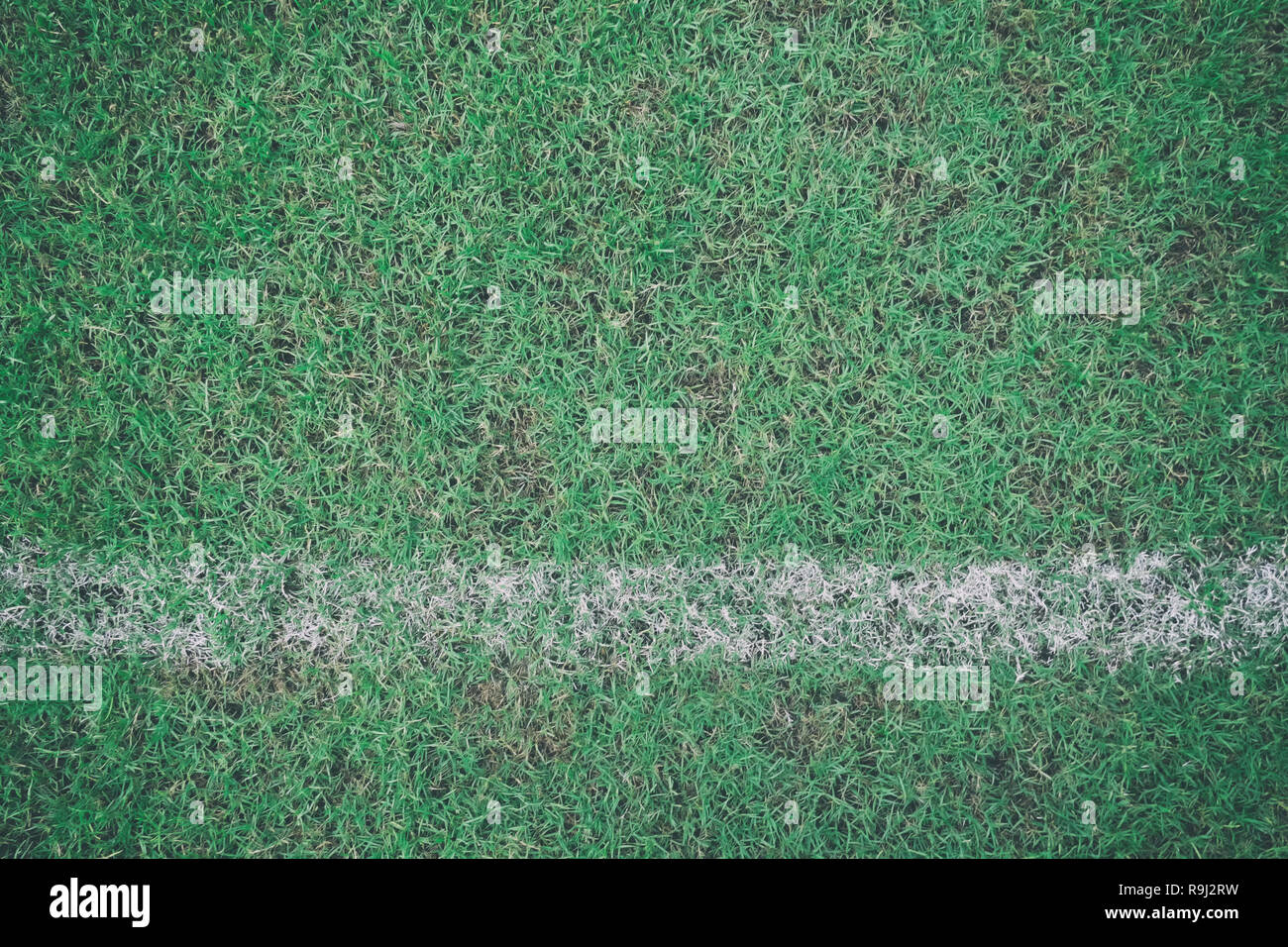 Green lawns empty backdrop for design nature background in your work ...