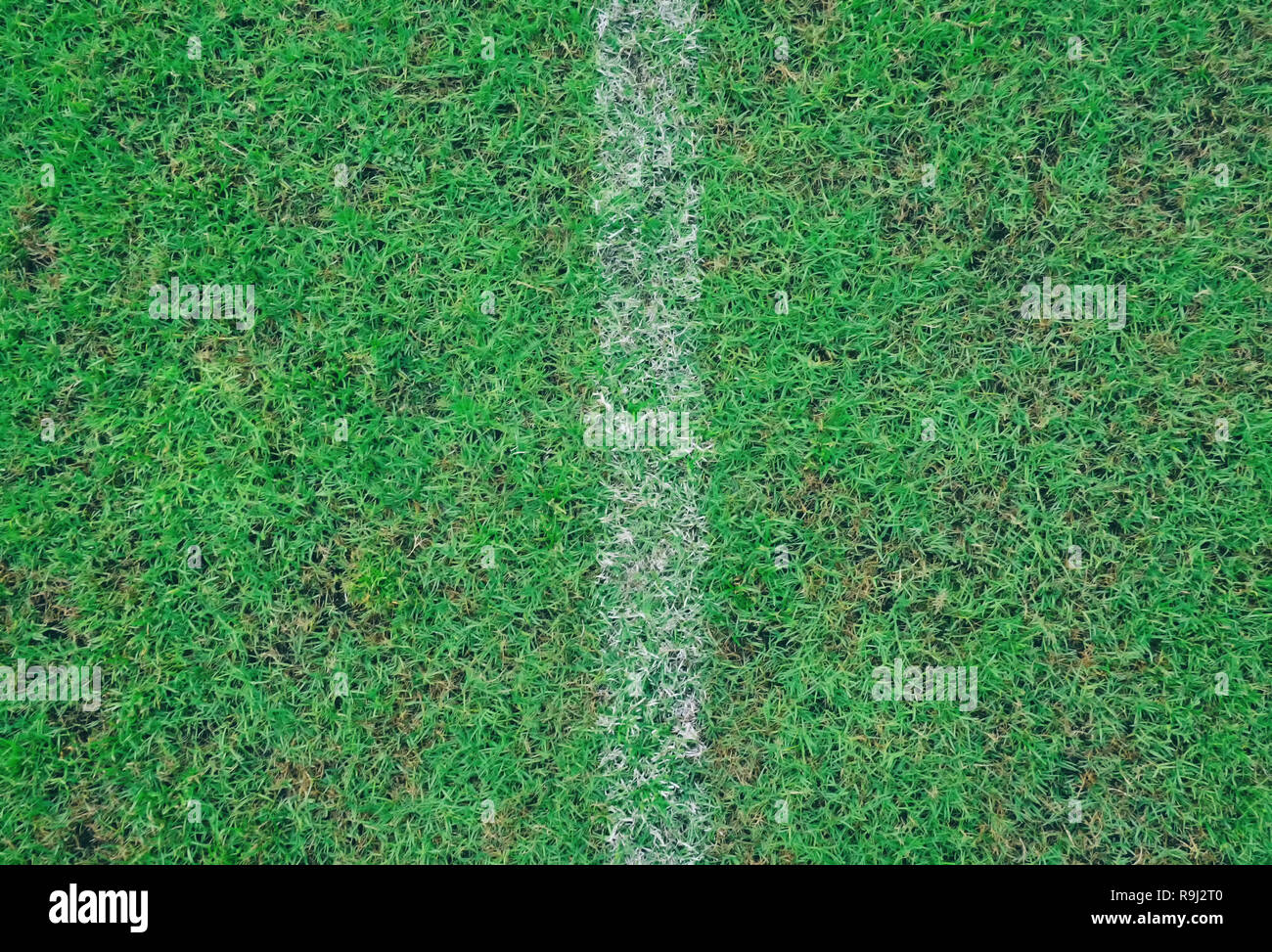 Green lawns empty backdrop for design nature background in your work ...