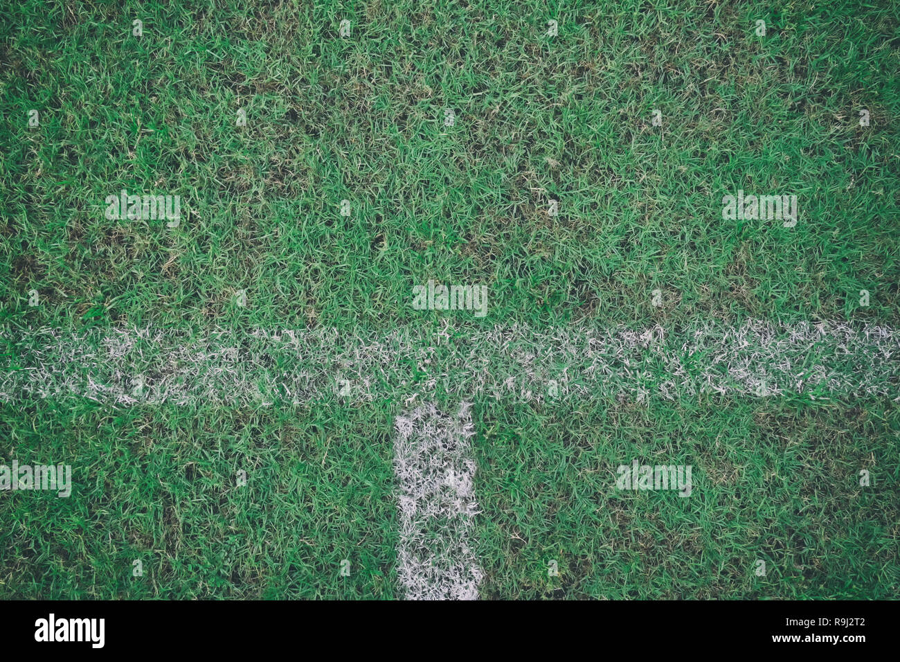 Green lawns empty backdrop for design nature background in your work ...