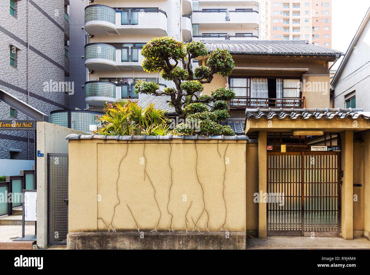 Small old Japanese house facade with big tree in the background of high ...
