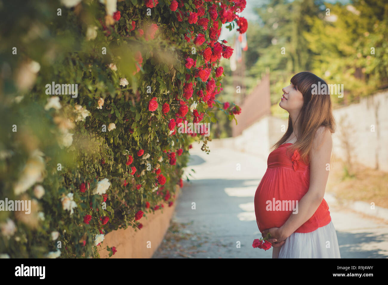 Cute pregnant young mother in airy red whit dress posing enjoying ...