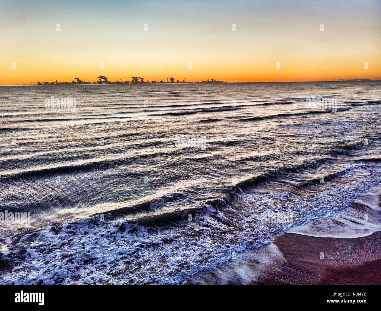 Golden hour rose hi-res stock photography and images - Alamy
