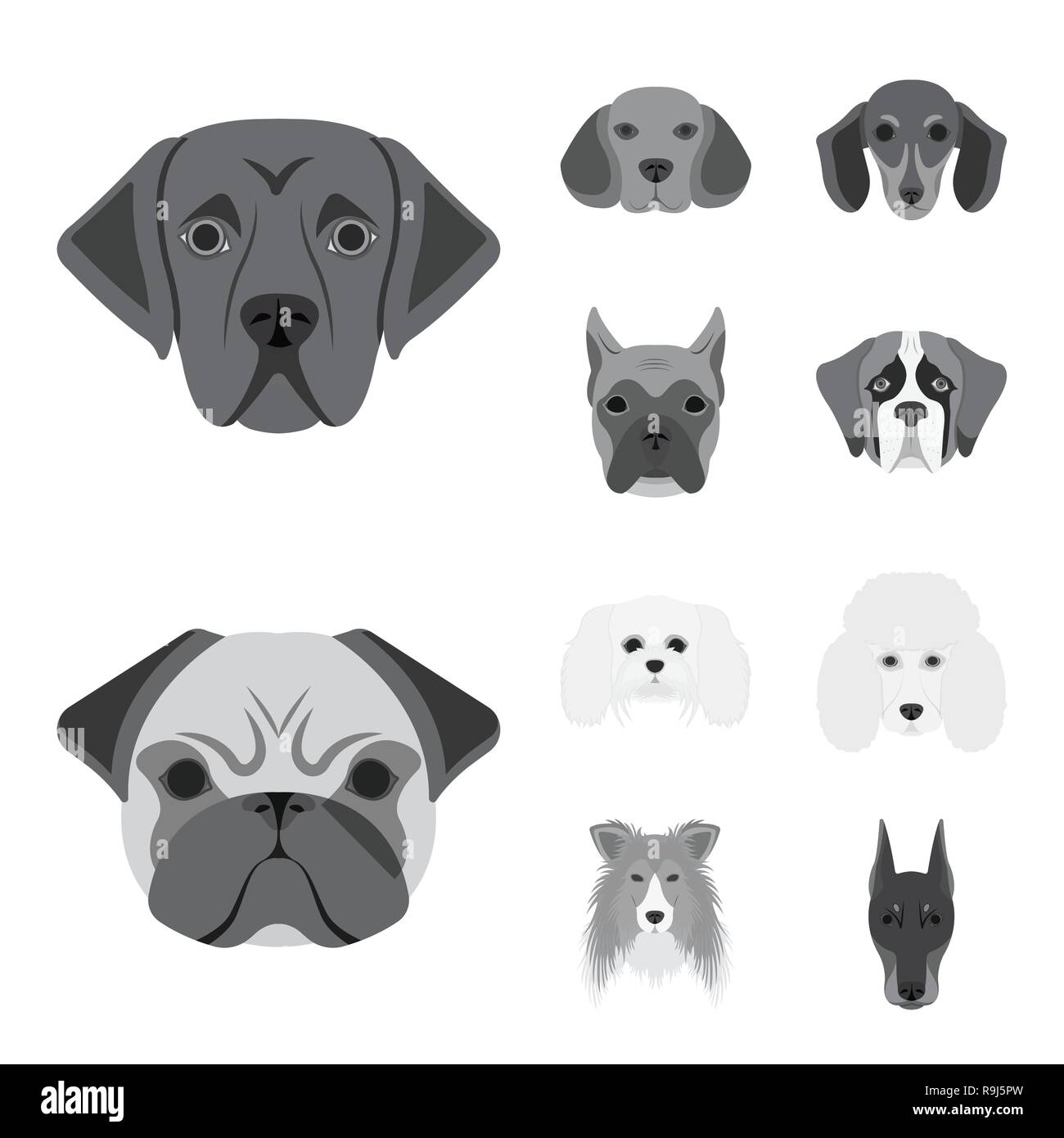 Vector illustration of cute and puppy sign. Collection of cute and ...