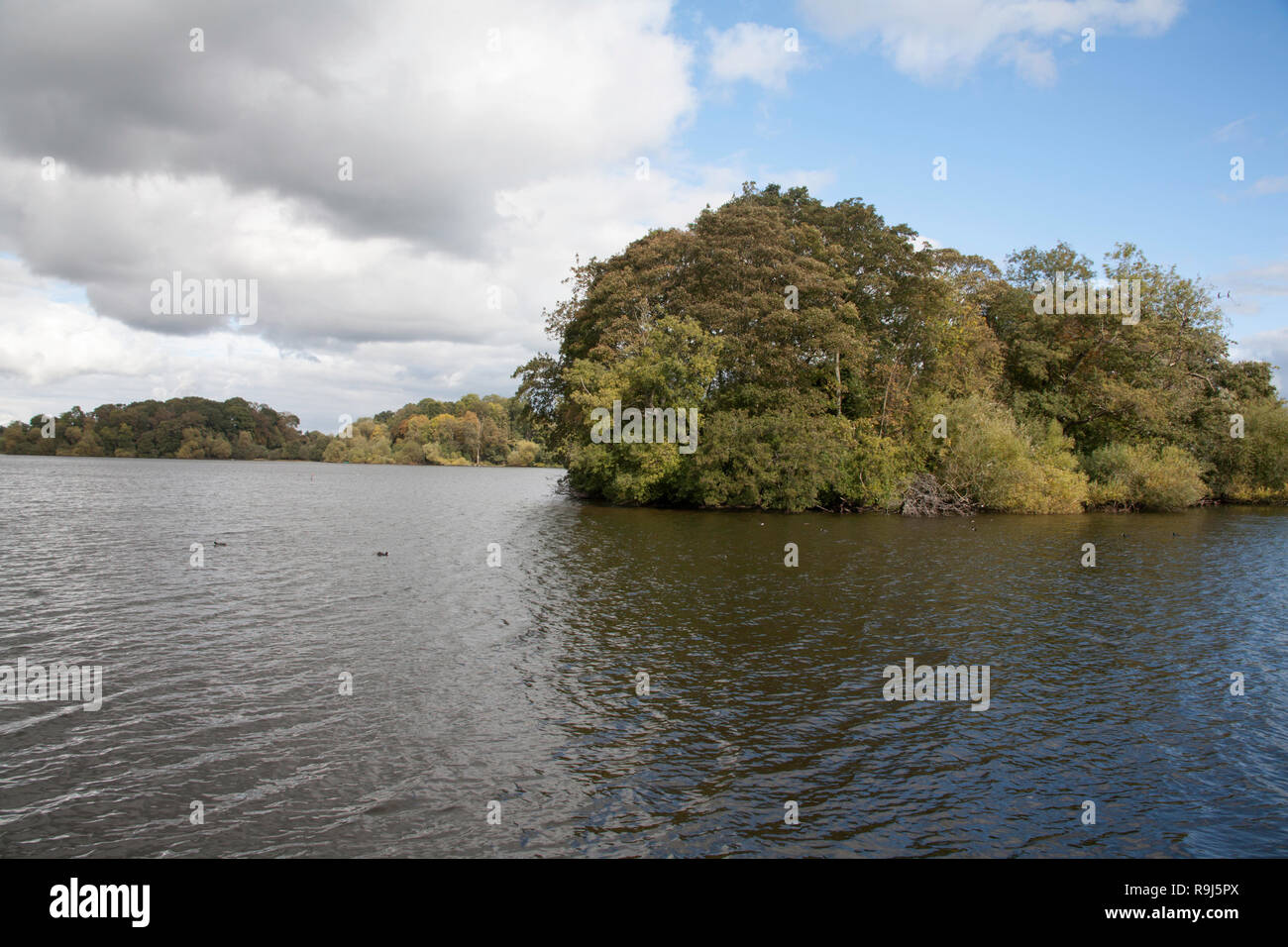 The lake or mere at Ellesmere Shropshire England Stock Photo - Alamy