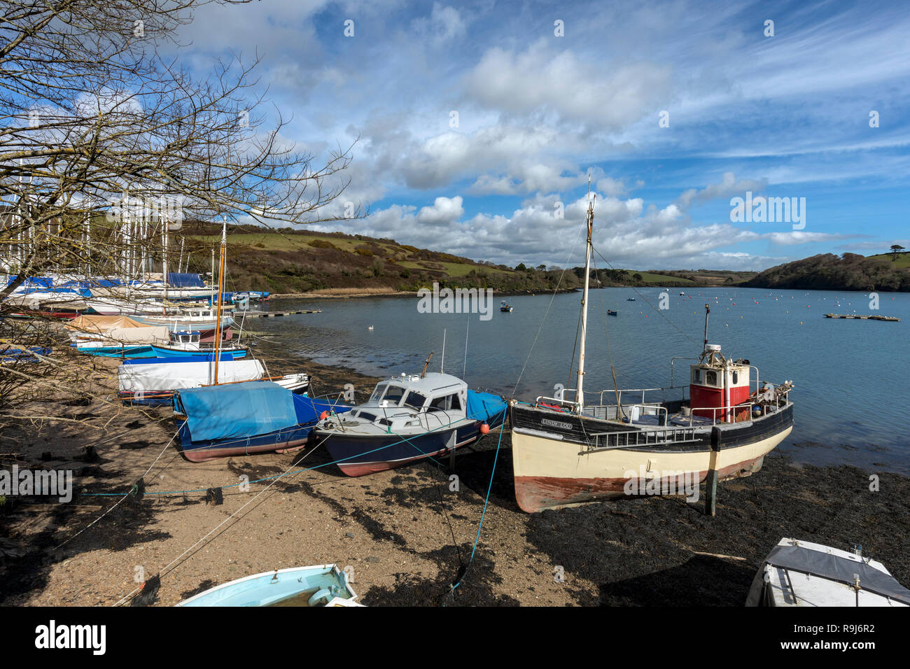 Percuil River; Roseland; Cornwall; UK Stock Photo - Alamy
