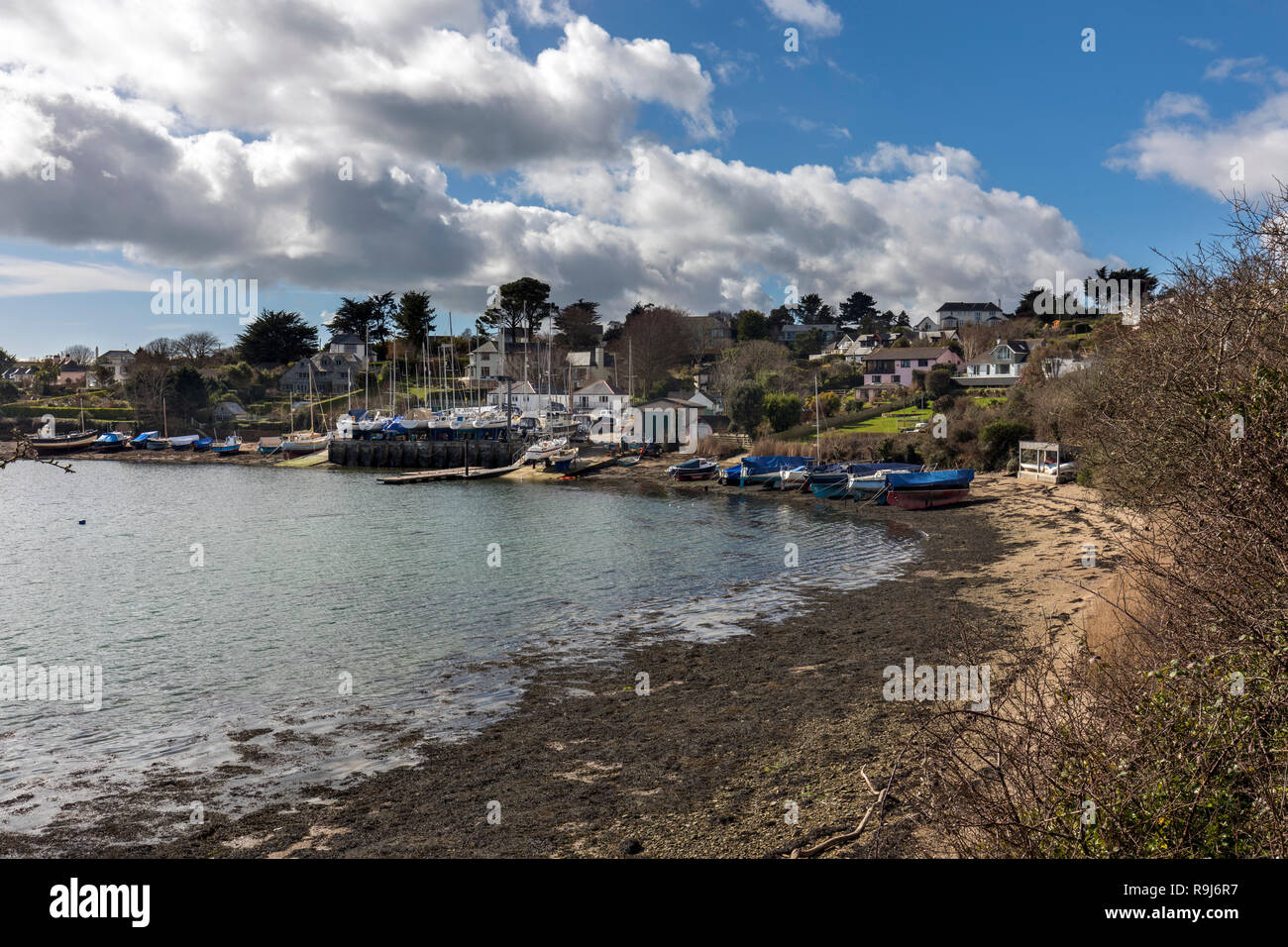Percuil River; Roseland; Cornwall; UK Stock Photo - Alamy