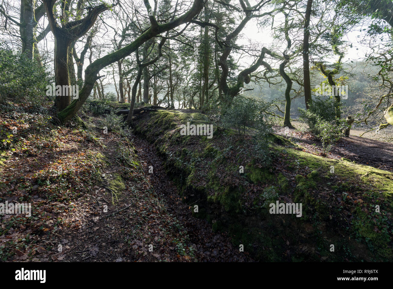 Uk iron age fort hi-res stock photography and images - Alamy