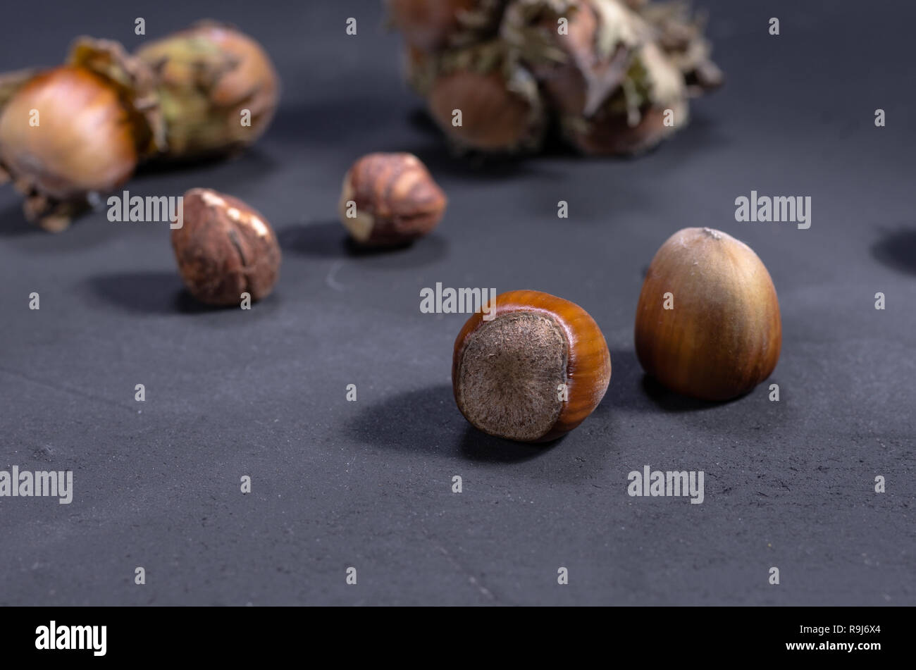 Hazelnuts in the peel. Unpeeled nuts. Nuts like hazelnuts. Front view ...