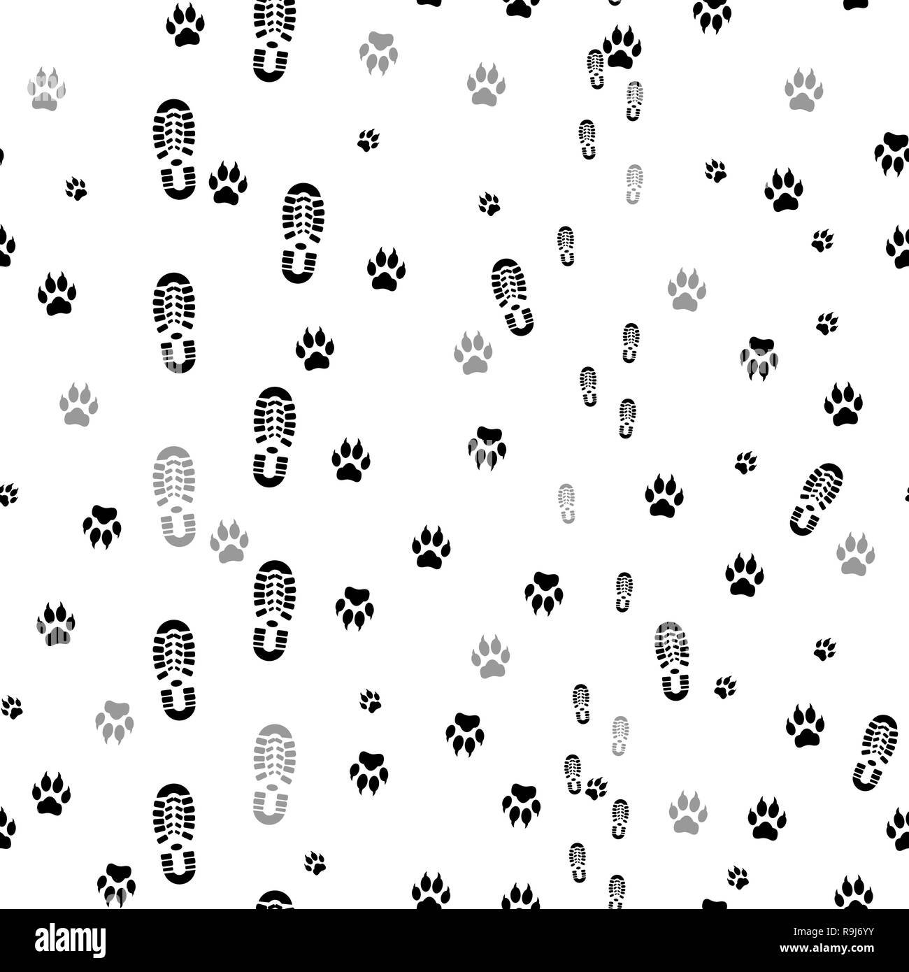 Human footprints dog paw prints hi-res stock photography and images - Alamy