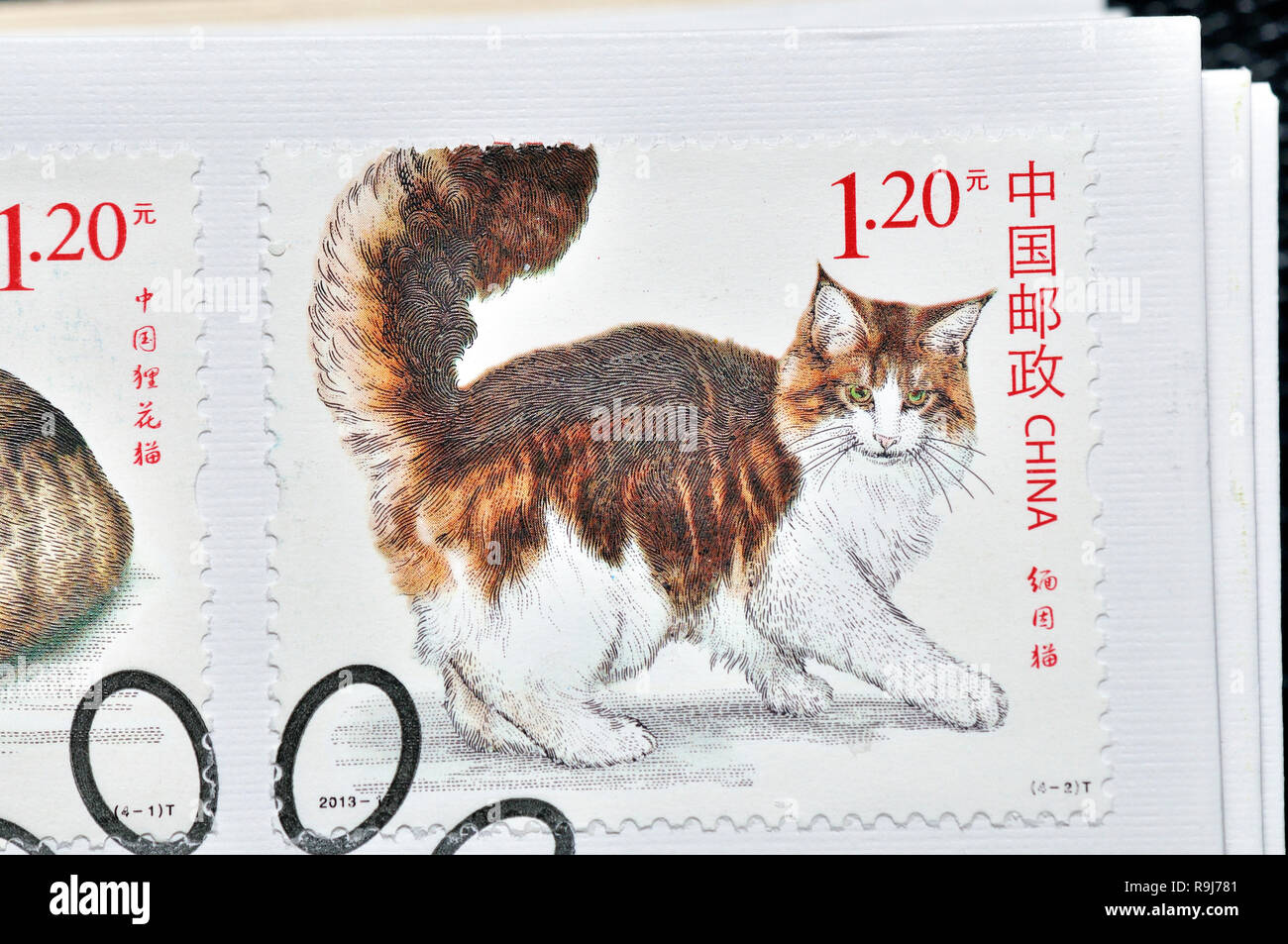 CHINA - CIRCA 2013: A stamp printed in China shows cats circa 2013 ...