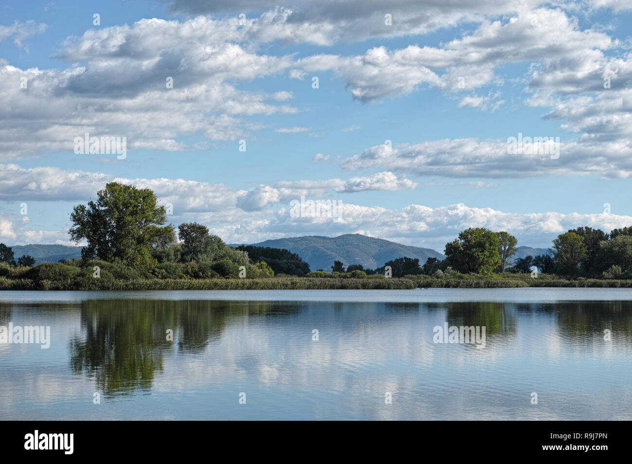 clouds reflected in the water of a small lake Stock Photo - Alamy